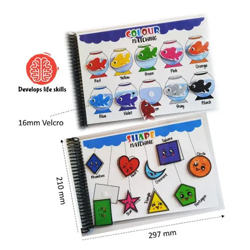 Playkid Knowledge Book